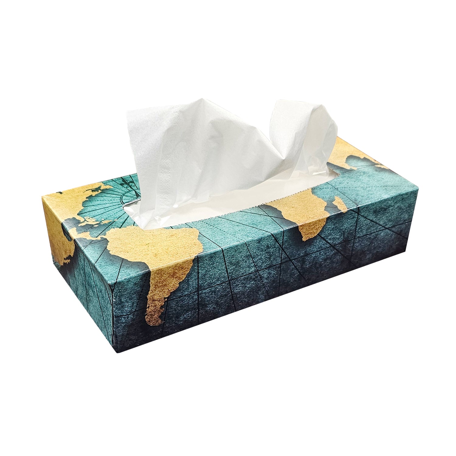 Facial Tissue - Flat Box – Globe Commercial Products